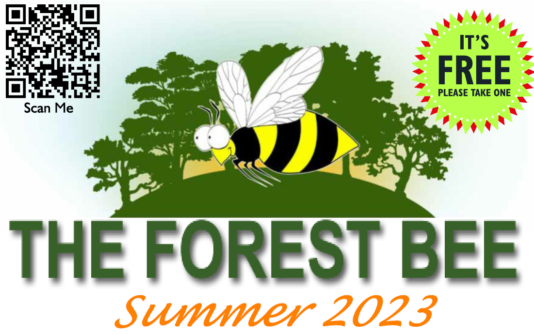 The Forest Bee.co.uk | Forest of Dean courses, further education and ...
